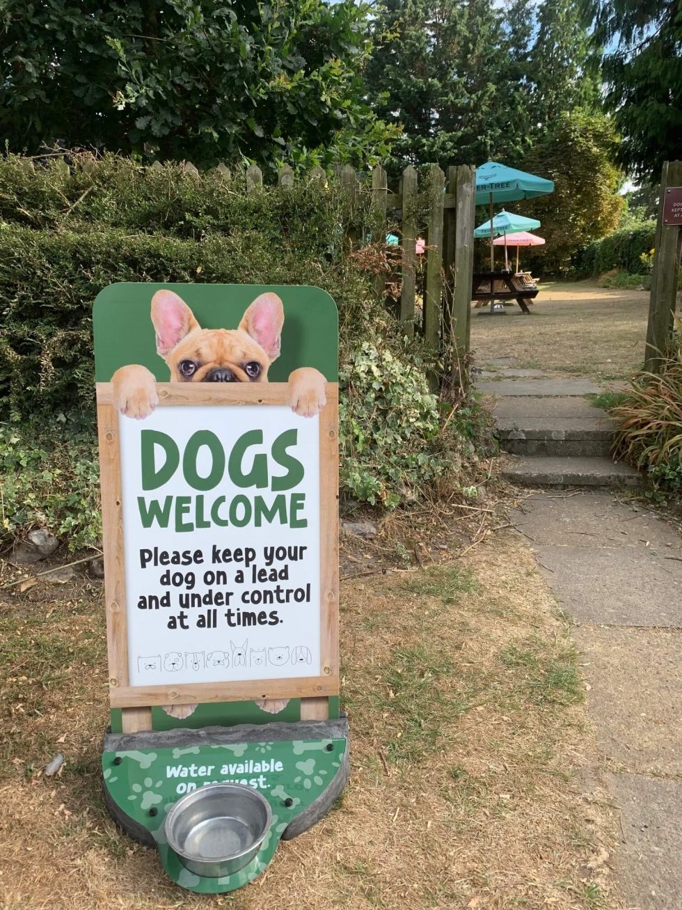 Dog-Friendly Pavement SignsA FUR-BULOUS SIGN FOR DOG-FRIENDLY ...